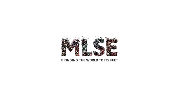 Hand Signed Toronto Maple Leafs Hockey Stick